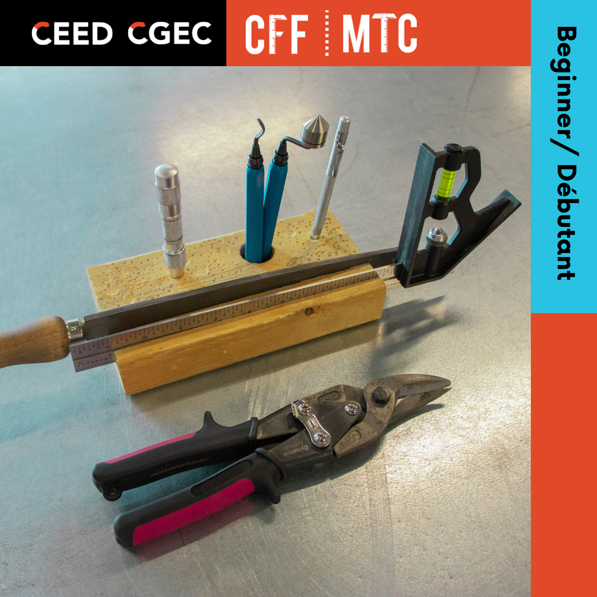 MTC/CEED - Basic Training | Simpli