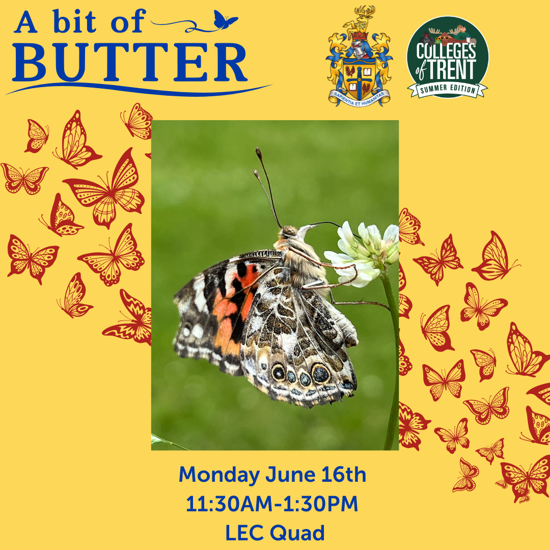 A Bit of Butter: Butterfly Celebration | Simpli